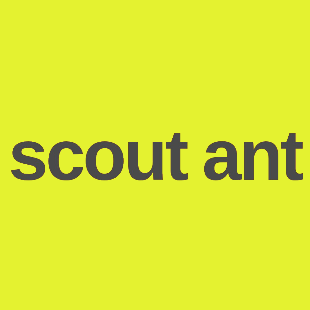 Scout Ant | Make Your Products Visible to AI